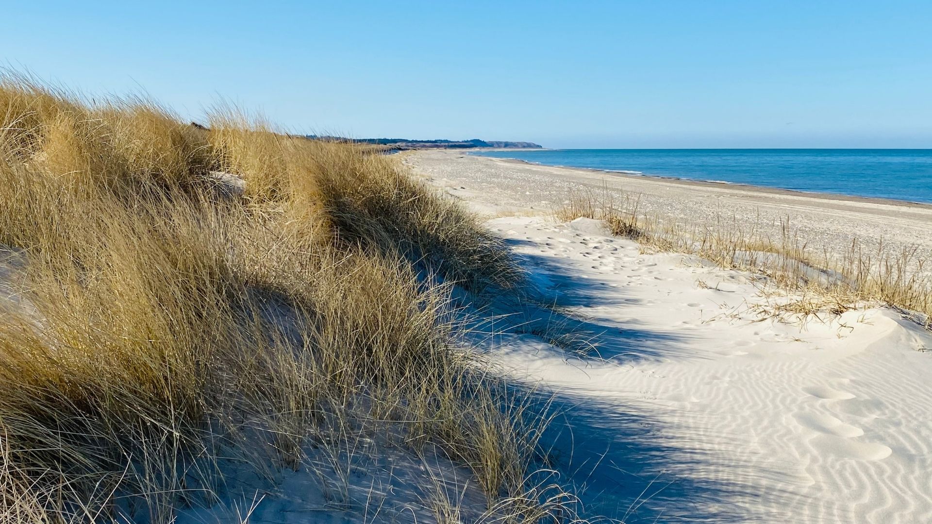 Udlejning af sommerhus til 18 personer ved Thorup Strand