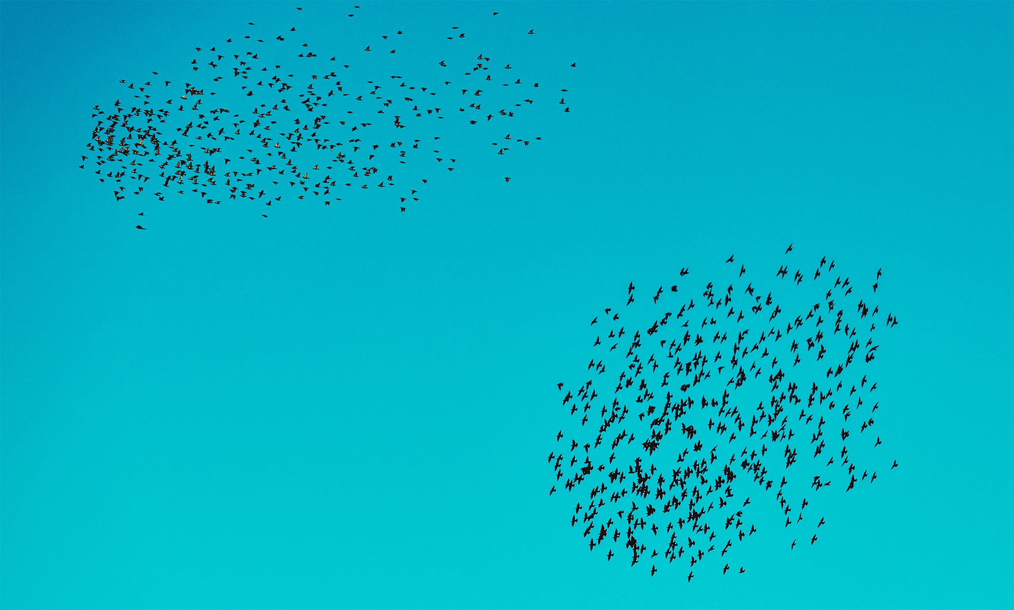 Sort Sol i Danmark - oplev det imponerende naturfænomen