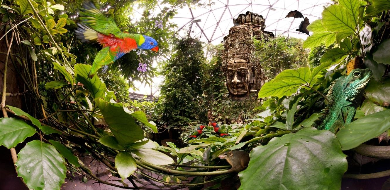 Randers Regnskov - unik tropisk djurpark i Randers | VillaVilla
