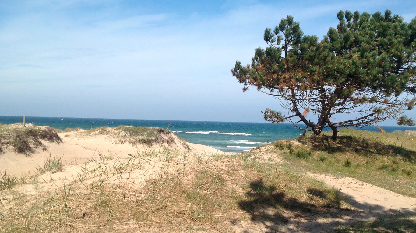 Die Asserbo Schlossruine