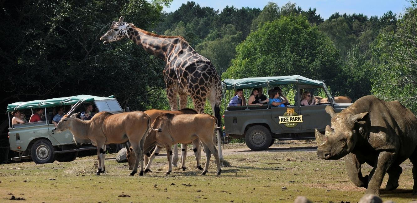 Ree Park – Ebeltoft Safari — Tiere aus allen Kontinenten erleben