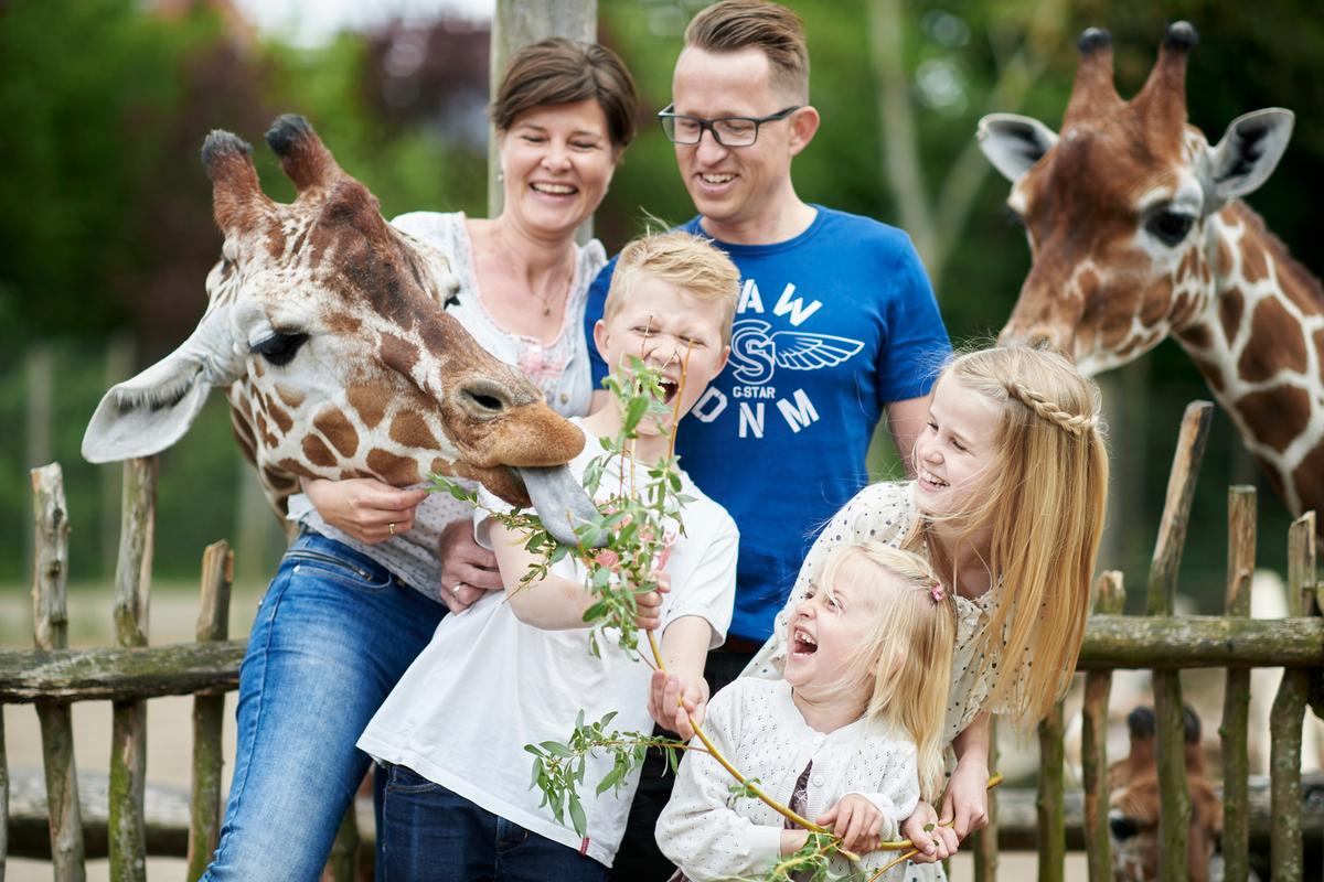 Odense Zoo — Großer Tierpark in Odense auf der Insel Fünen | VillaVilla